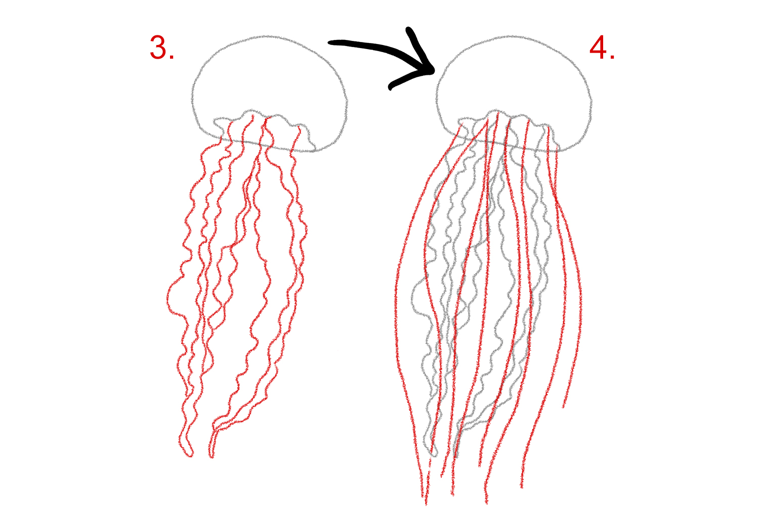 How To Draw A Jellyfish Step By Step Infoupdate