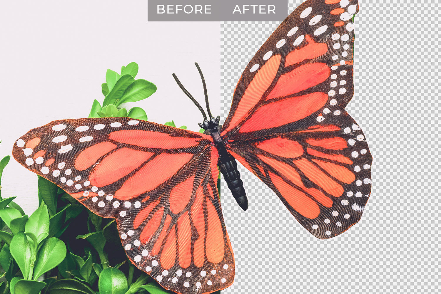 Procreate Remove Image Background Quick And Easy Tutorial