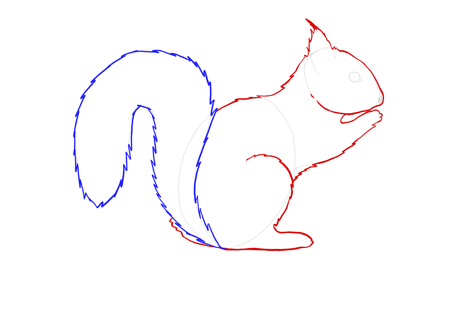Squirrel Outline