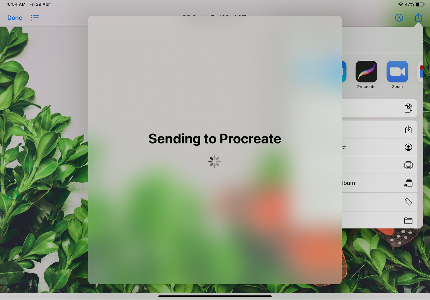 How To Remove Background In Procreate Design Bundles