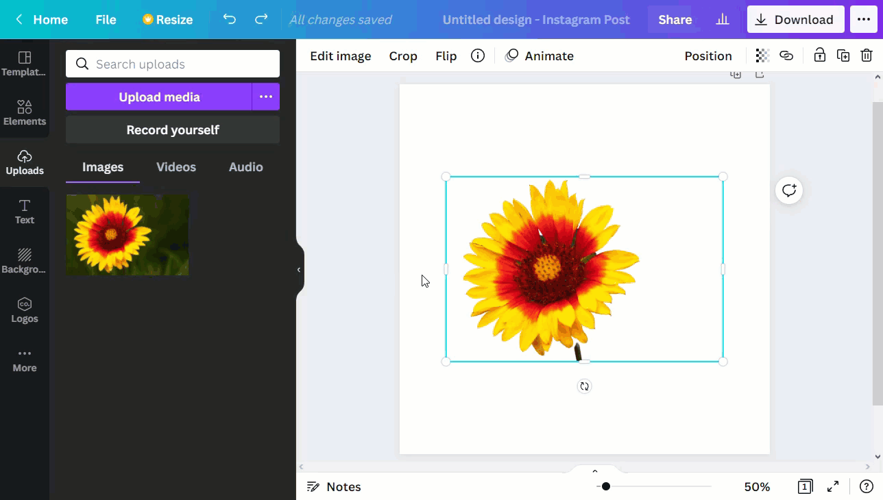 How To Delete Uploaded Images In Canva Mathis Entiner How To Delete Uploaded Images In Canva Mathis Entiner