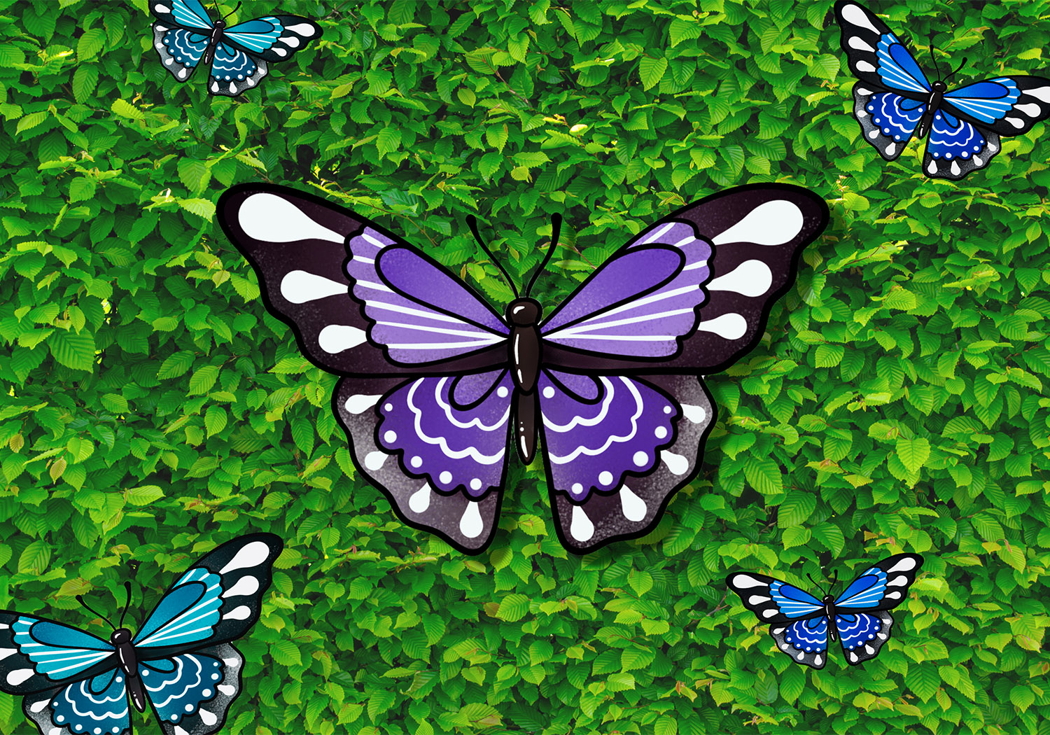 How To Draw A Butterfly Design School