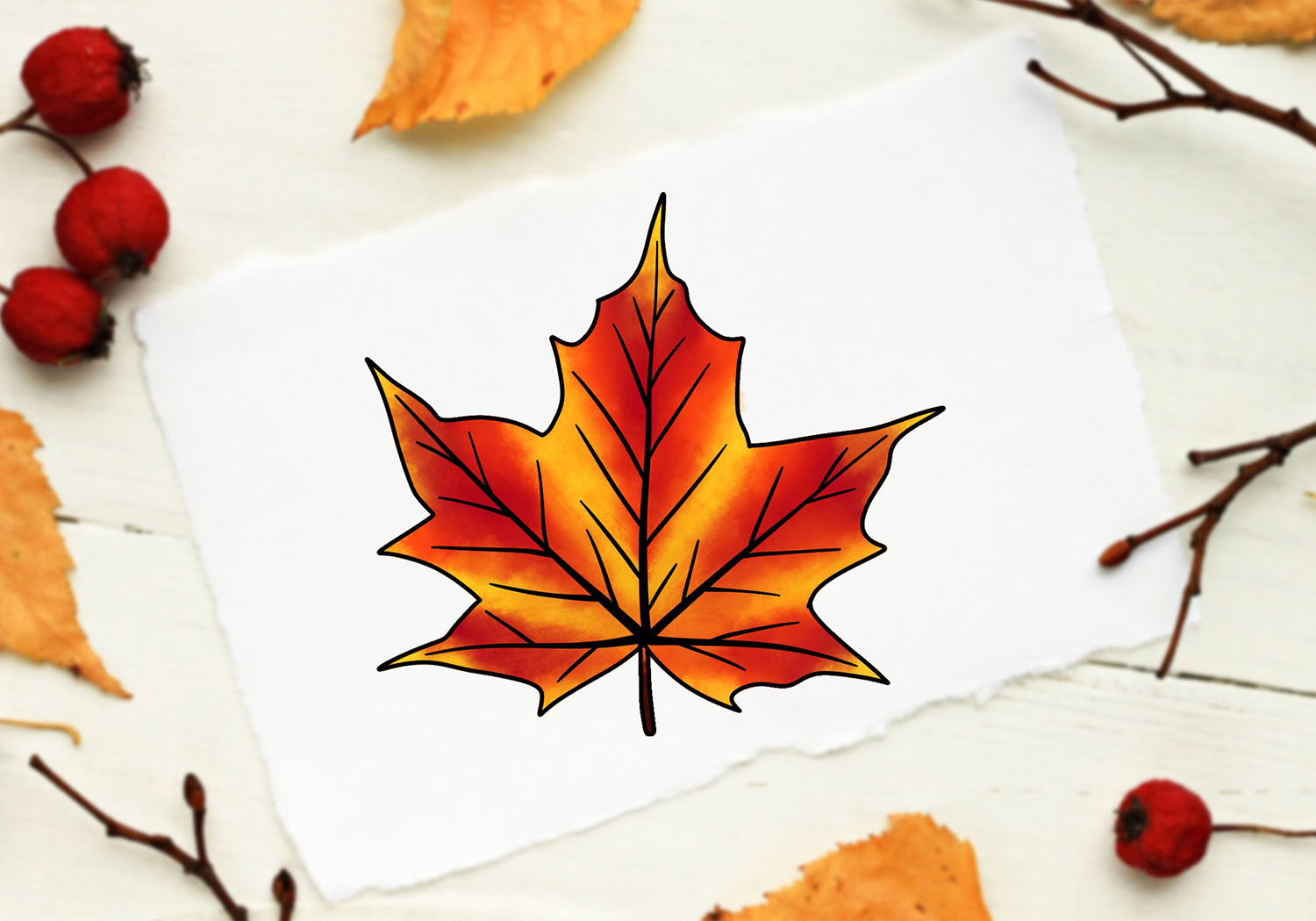 Maple Leaf PNG Transparent Images Free Download Vector 56 OFF