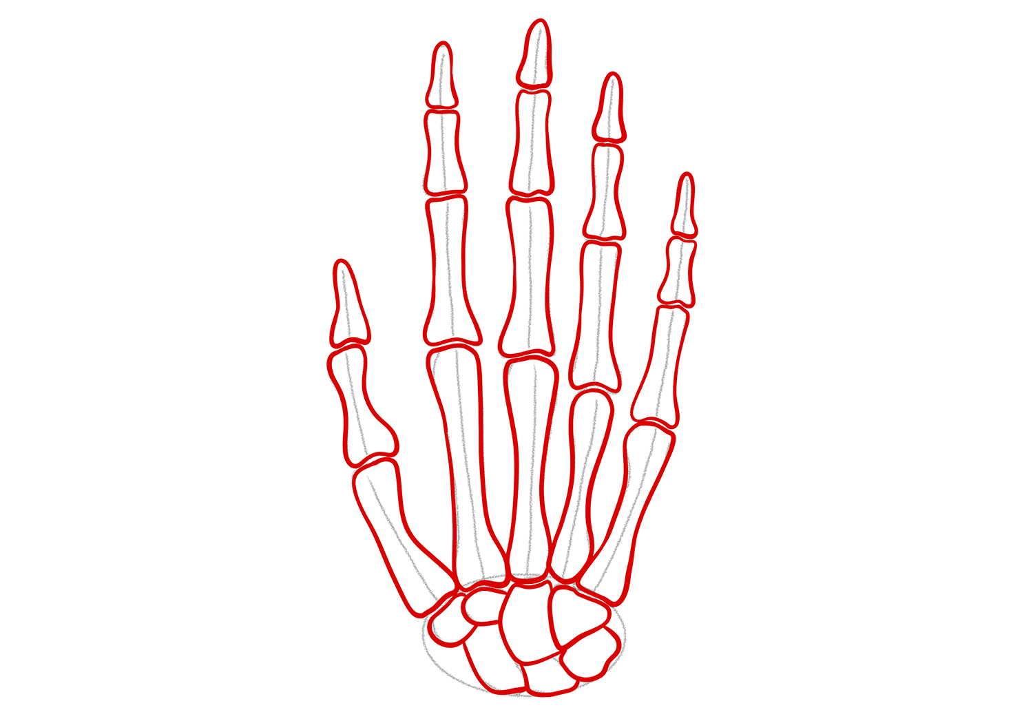 How To Draw Skeleton Hands Anatomical Hand Bones Sketch 60 OFF