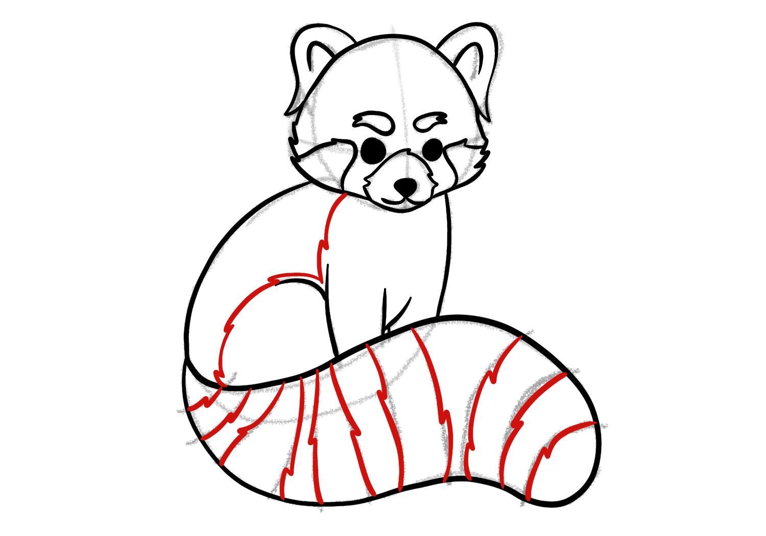 How To Draw A Red Panda Step By Step Infoupdate How To Draw A Red Panda Step By Step Infoupdate
